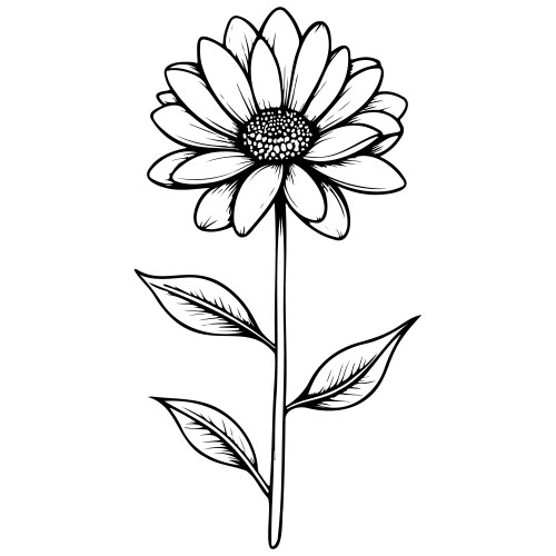 Flor Vector Images (over 360)