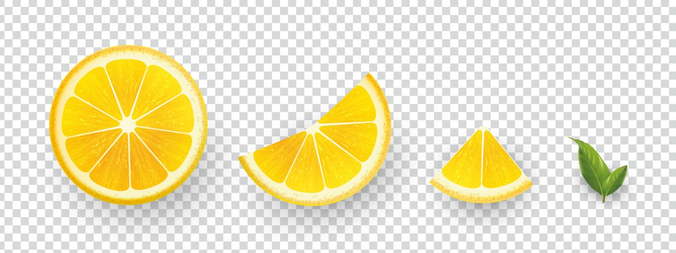 Cartoon Lemon Slice Vector Images (over 7,300)
