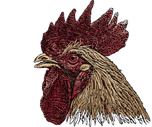 Engraving rooster head Royalty Free Vector Image