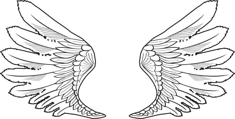 Collection light wings design isolated on white Vector Image