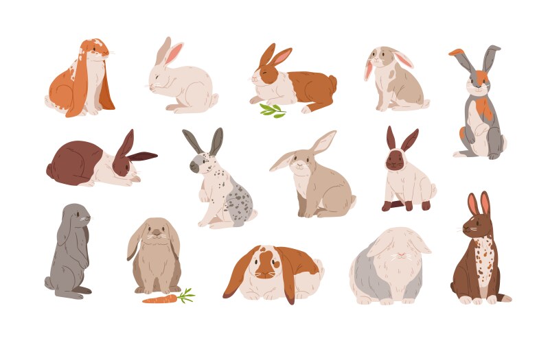 Rabbit Sitting Vector Images (over 6,600)