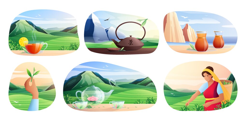 Tea Plantations Vector Images (over 1,300)