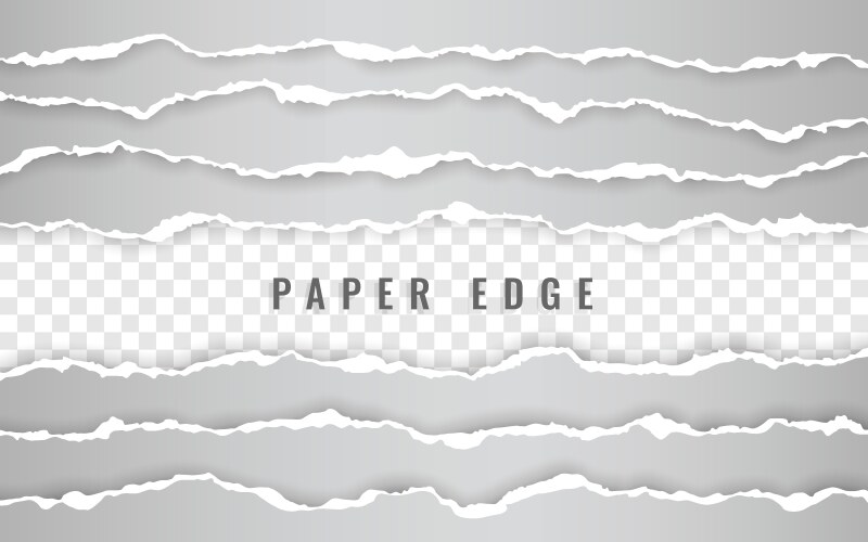 Horizontal torn paper edge ripped squared Vector Image