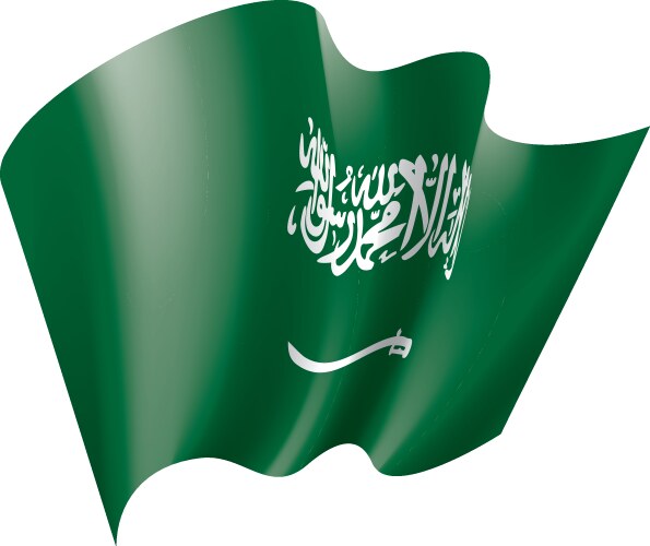 Saudi arabia flag on a white Royalty Free Vector Image