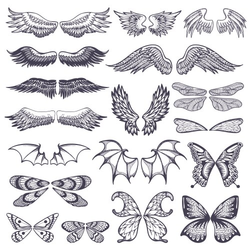 Colorful wings line set Royalty Free Vector Image