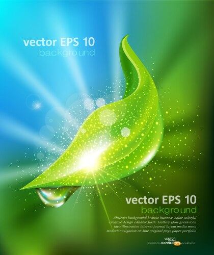 Drop of dew and reflection sheet Royalty Free Vector Image