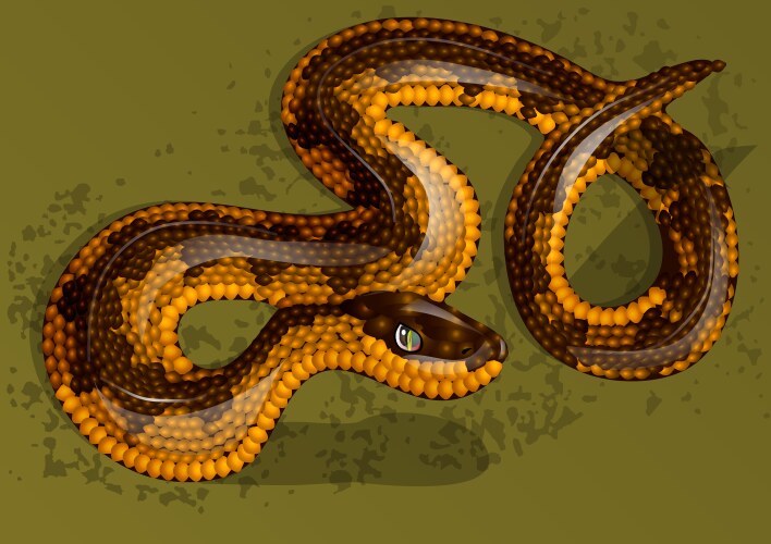 Snake Scales Vector Images (over 2,600)
