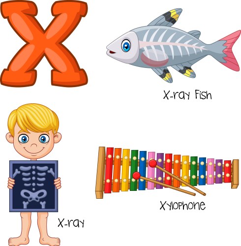 X-Ray Cartoon Vector Images (over 2,900)