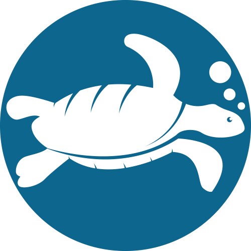 Turtle Top View Vector Images (over 200)