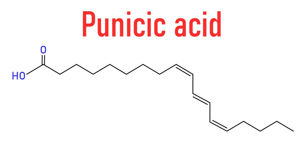 Punicic acid molecule skeletal formula Royalty Free Vector