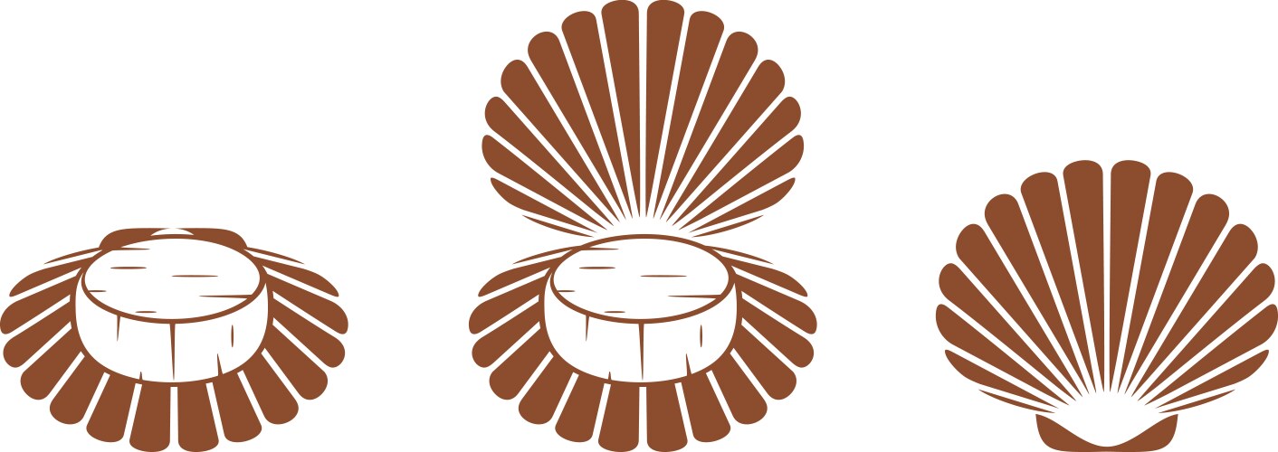Scallop Royalty Free Vector Image - VectorStock