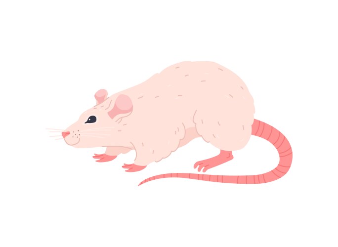 Sleeping cute rat flat cartoon Royalty Free Vector Image