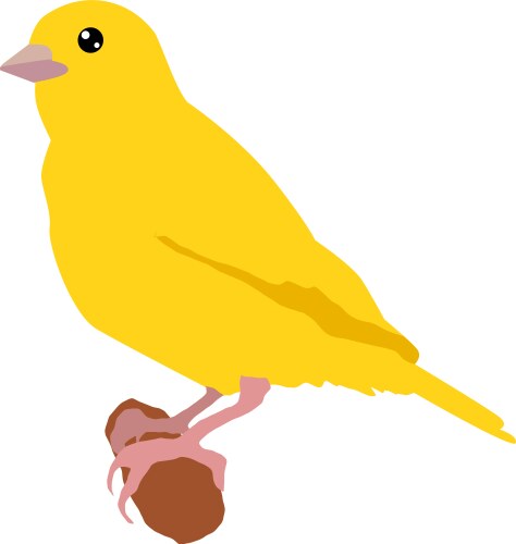 Cartoon yellow canary bird on white background Vector Image