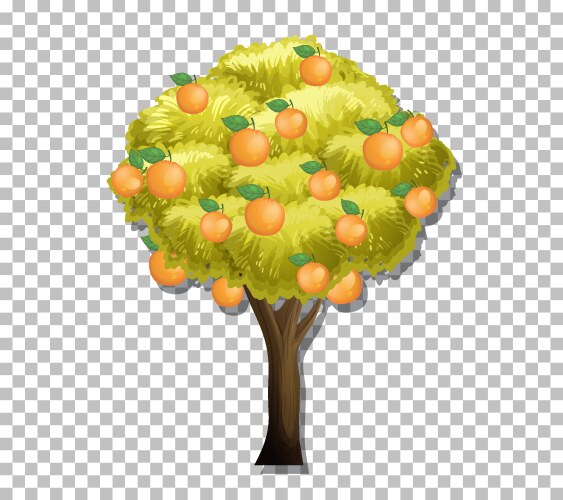 Orange tree on transparent background Royalty Free Vector