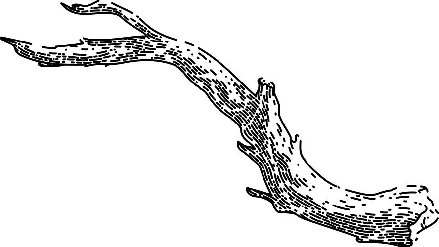 Wood Log Branch Frame Vector Images (59)