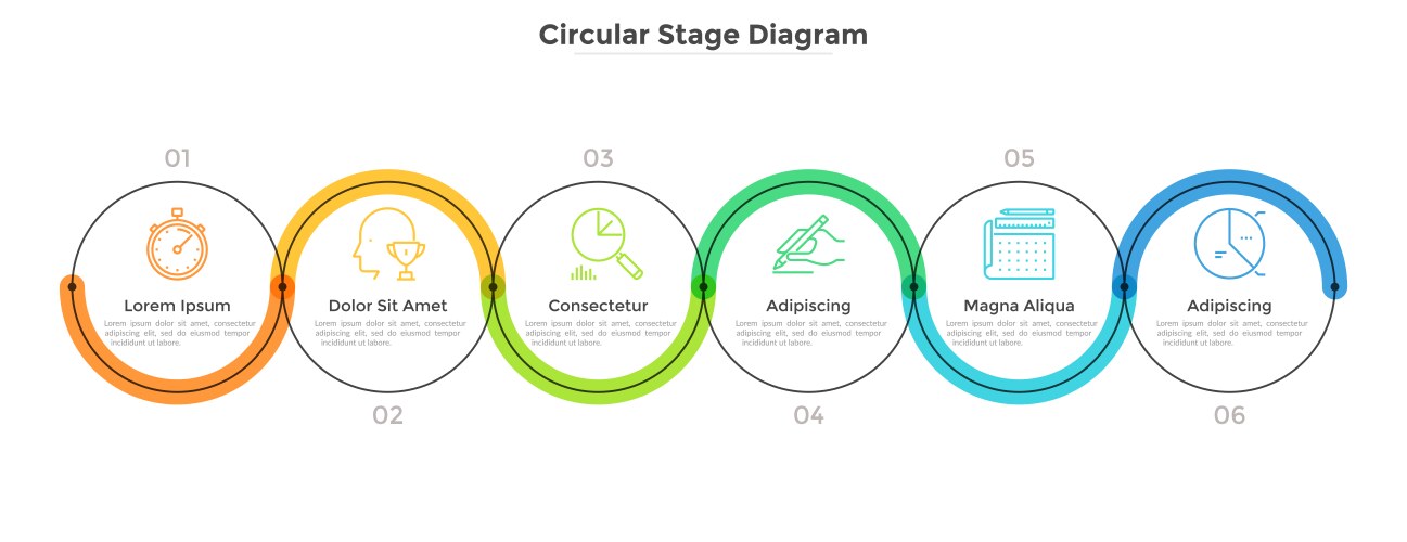 Internship program infographic template Royalty Free Vector