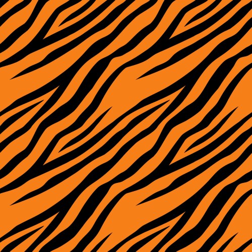 Seamless pattern black tiger print Royalty Free Vector Image