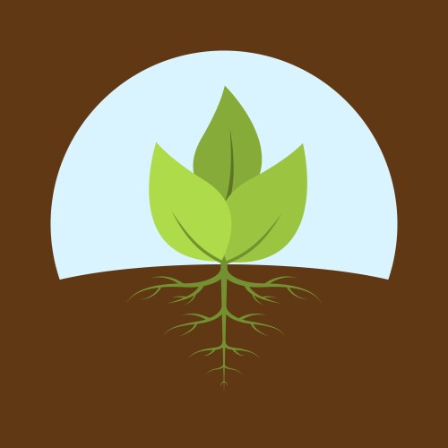 Sprout Roots Vector Images (over 3,800)