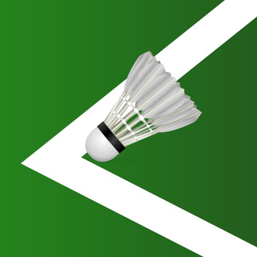 Badminton Battledore Shuttlecock Vector Images (over 180)