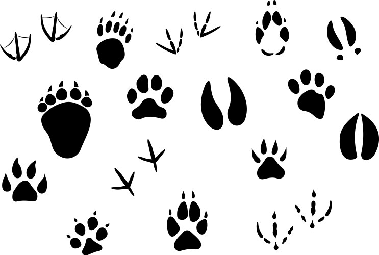 Cartoon Foot Vector Images (over 38,000)