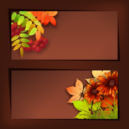 Autumn transparent leaves fall season background Vector Image
