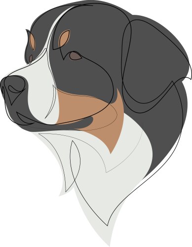 Bernese Vector Images (over 590)
