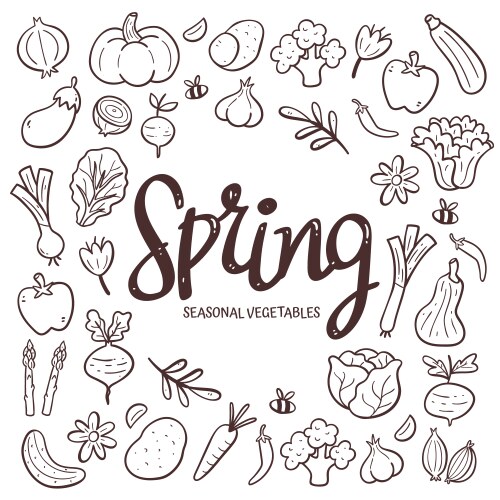 Vegetables still life outline Royalty Free Vector Image