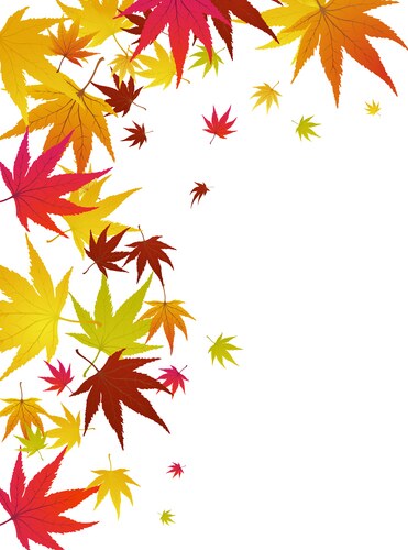 Maple background Royalty Free Vector Image - VectorStock