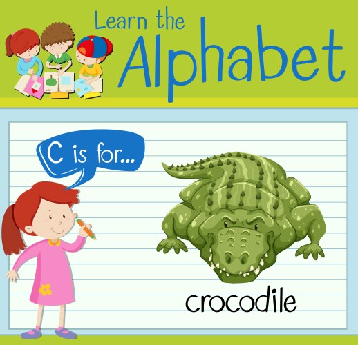 Crocodile Flashcard Vector Images (46)