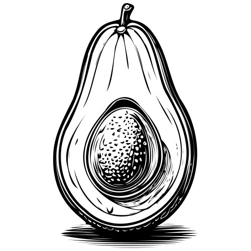 Avocado Outline Vector Images (over 6,600)