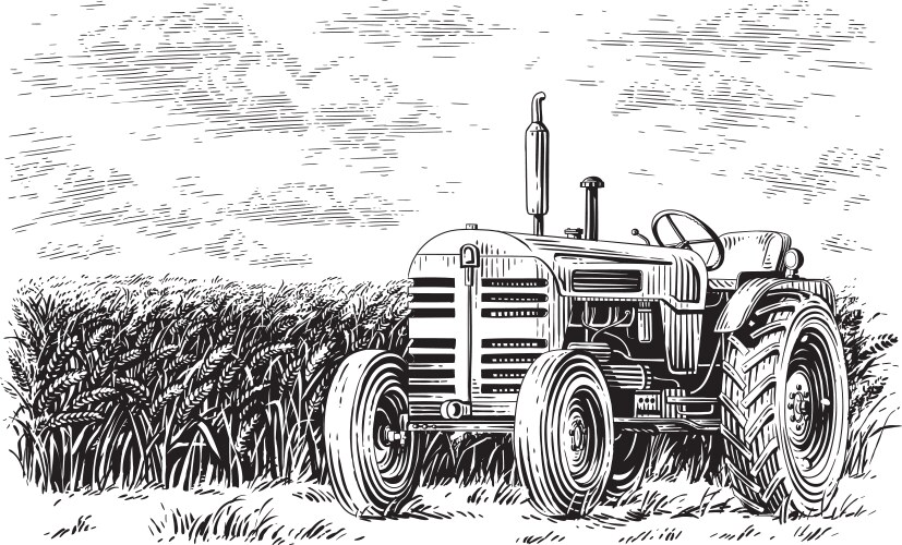 Field hand drawing sketch engraving Royalty Free Vector