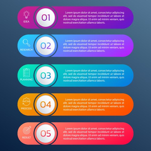 5 steps option or levels line infographic Vector Image