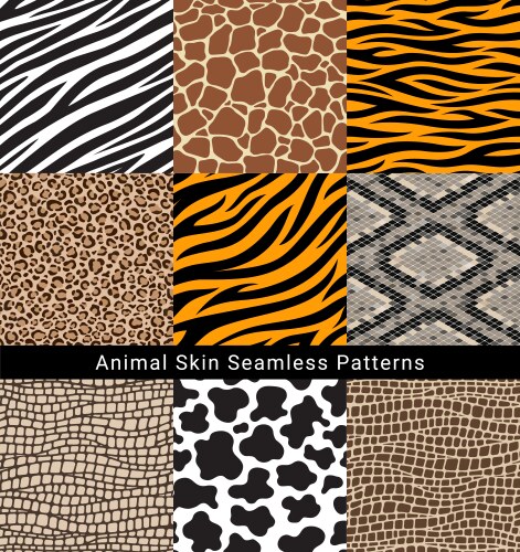 Seamless animal skin patterns set safari textile Vector Image