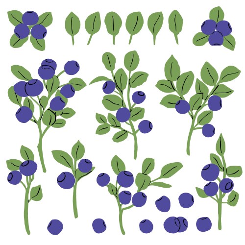 Berry Branches Vector Images (over 58,000)