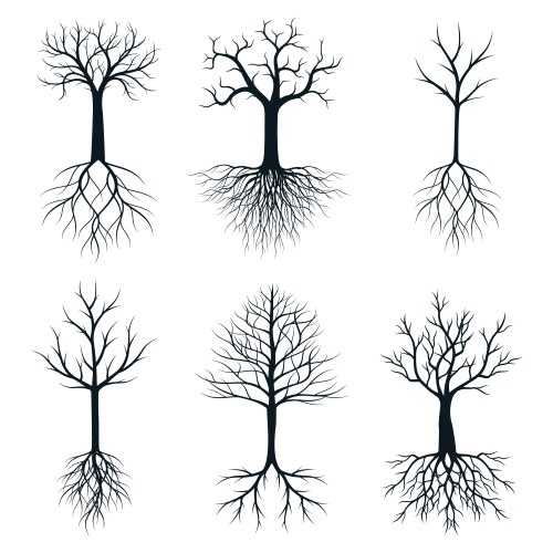 Tree roots set Royalty Free Vector Image - VectorStock