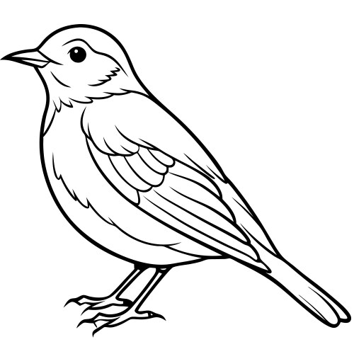 Robin Outline Vector Images (over 960)