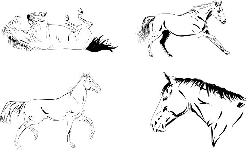 Sports Tails Vector Images (over 8,100)