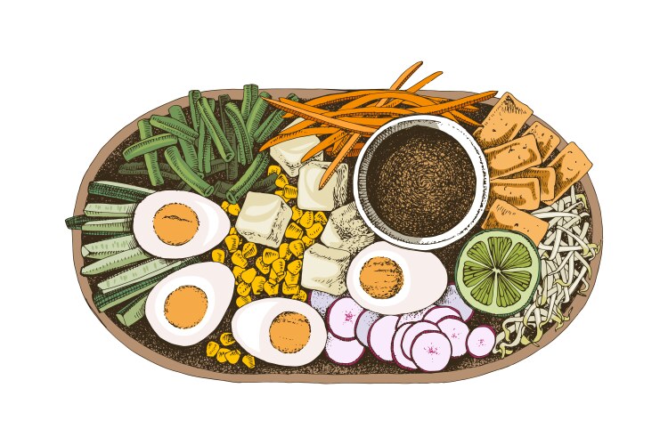 Indonesian salad with peanut sauce gado-gado Vector Image