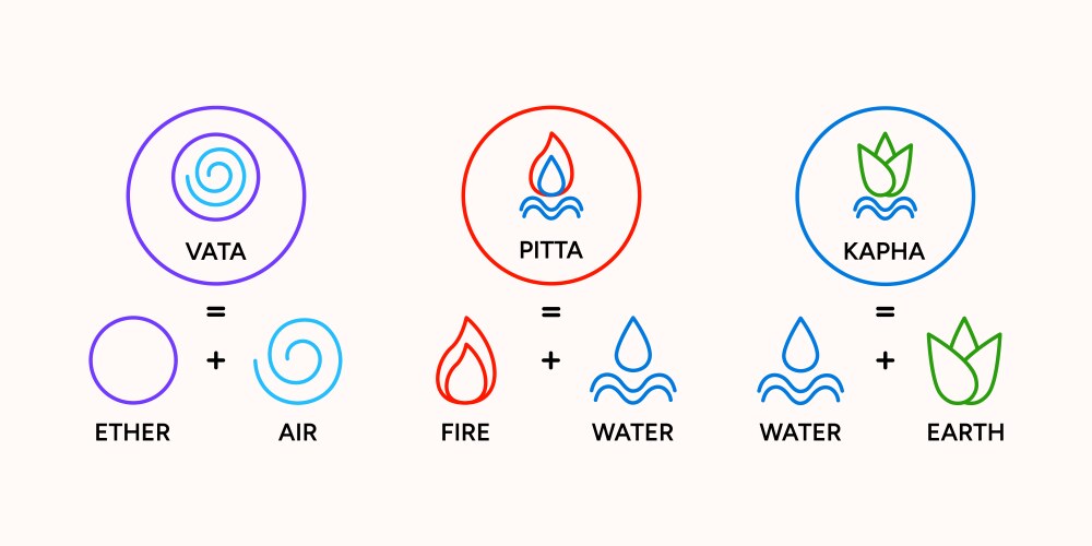 Pitta dosha infographic poster Royalty Free Vector Image