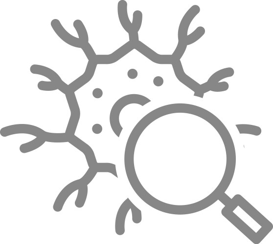 Microglia Vector Images (18)