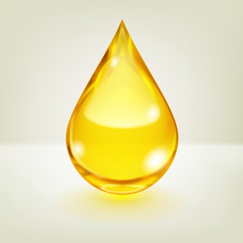 3d realistic water drop isolated on blur Vector Image