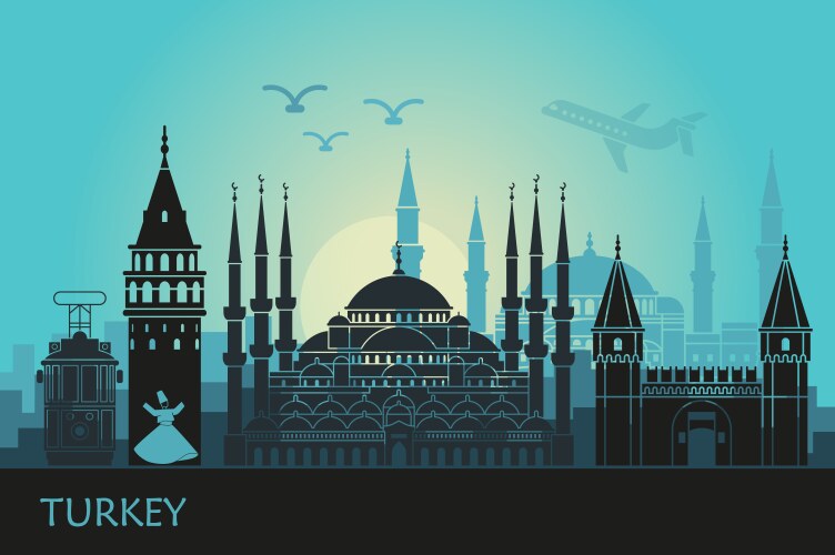 Landscape of the turkish city istanbul Royalty Free Vector