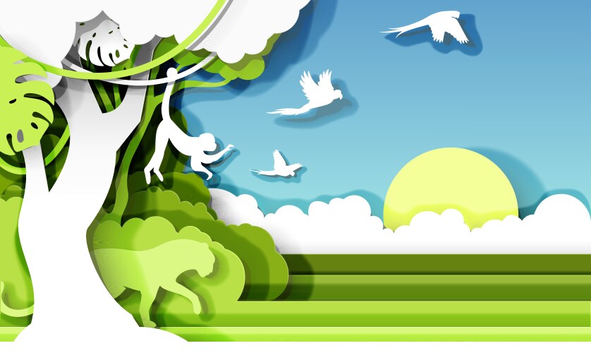 Tropical rainforest scene with various wild Vector Image