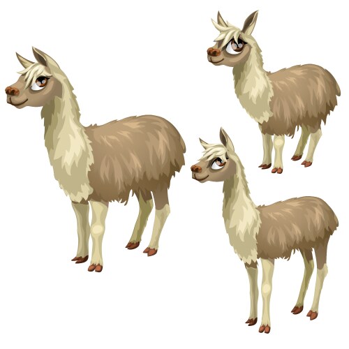 Lama Vector Images (over 7,200)