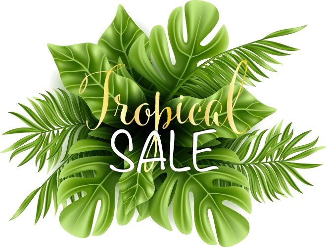 Natural background with green spring leaves Vector Image