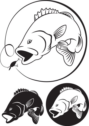 Set black and white largemouth bass fish Vector Image