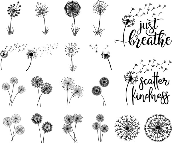 Wildflower Svg Vector Images (over 190)