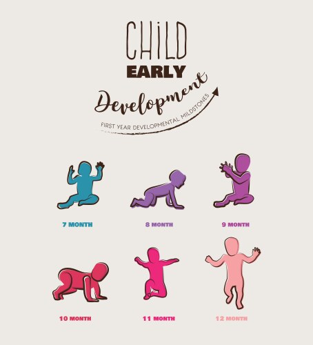 Baby development stages milestones first one year Vector Image