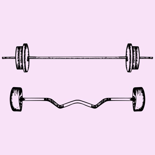 Barbell weightlifting sports Royalty Free Vector Image