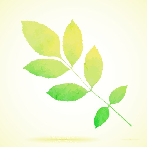 Ash Vector Images (over 24,000)